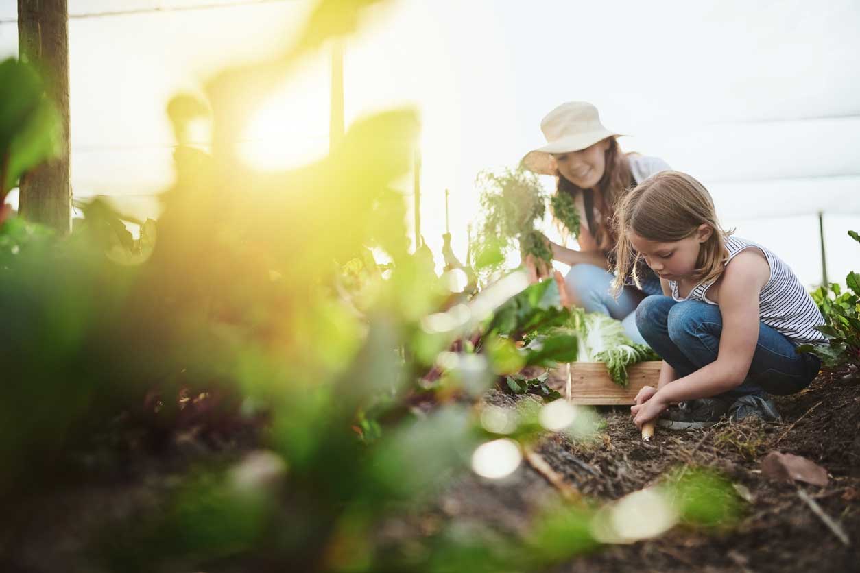 About Anderson Farms | Sustainable Living in Aiken, SC