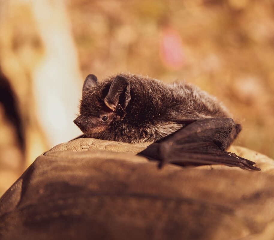 Anderson Farms | Simple Pleasures Through Outdoor Pursuits